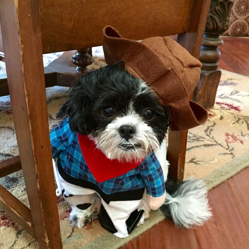 Happy Tails - Oshkosh Area Humane Society