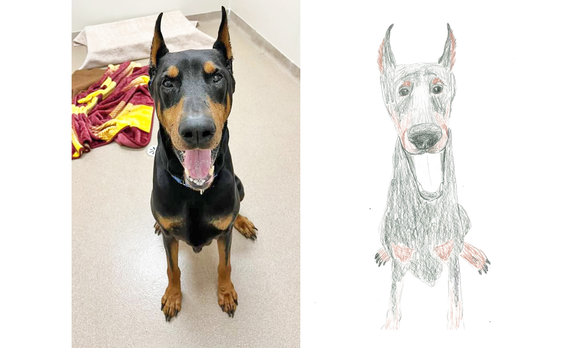 Poorly Drawn Pets 2024 - Oshkosh Area Humane Society