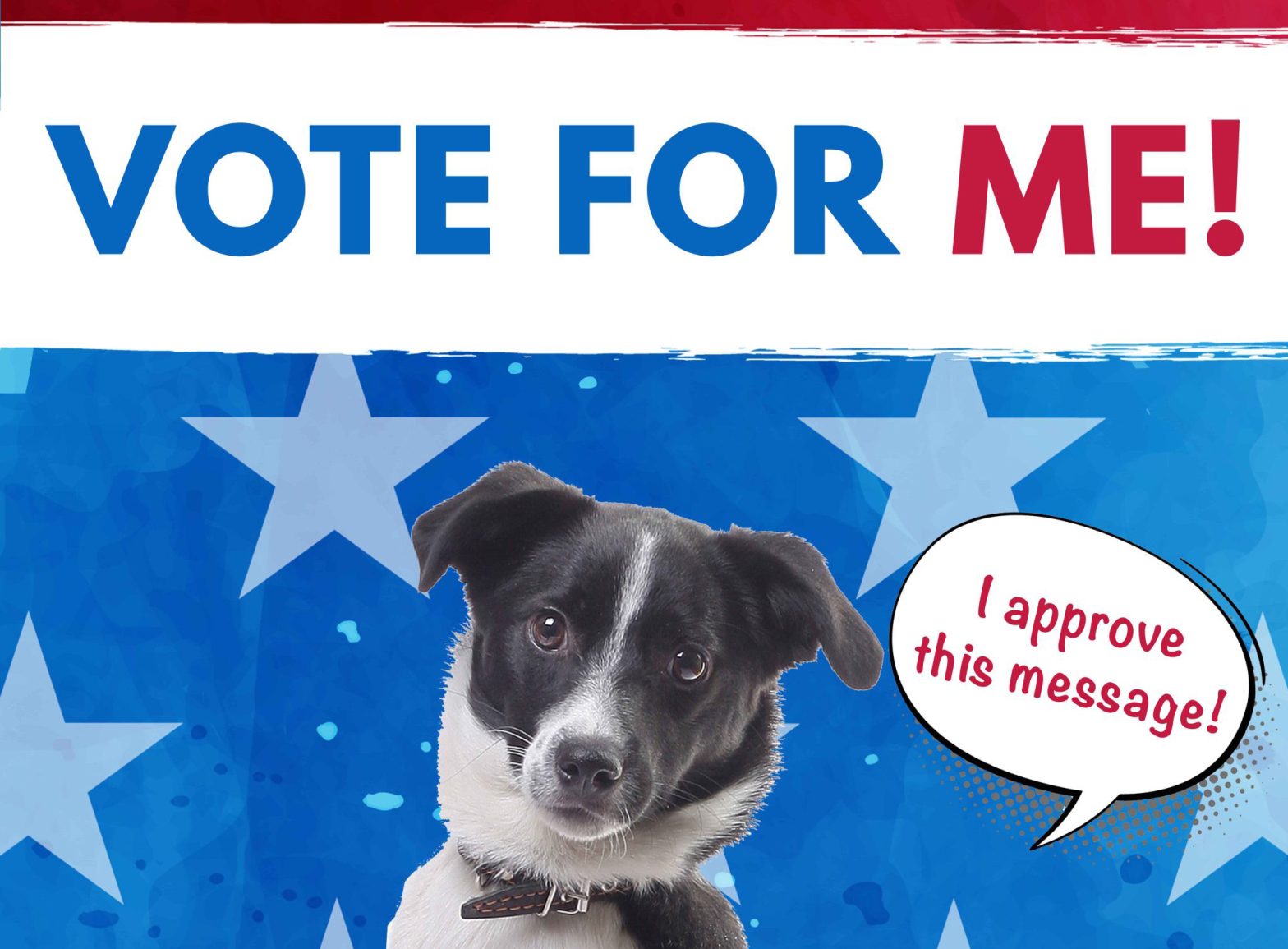 Home Page - Oshkosh Area Humane Society