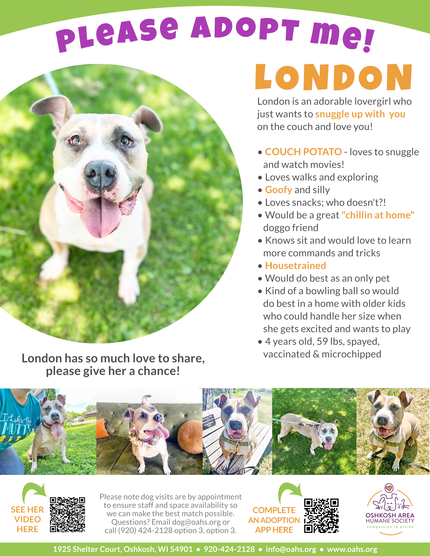 Long Term Adoptables - Oshkosh Area Humane Society