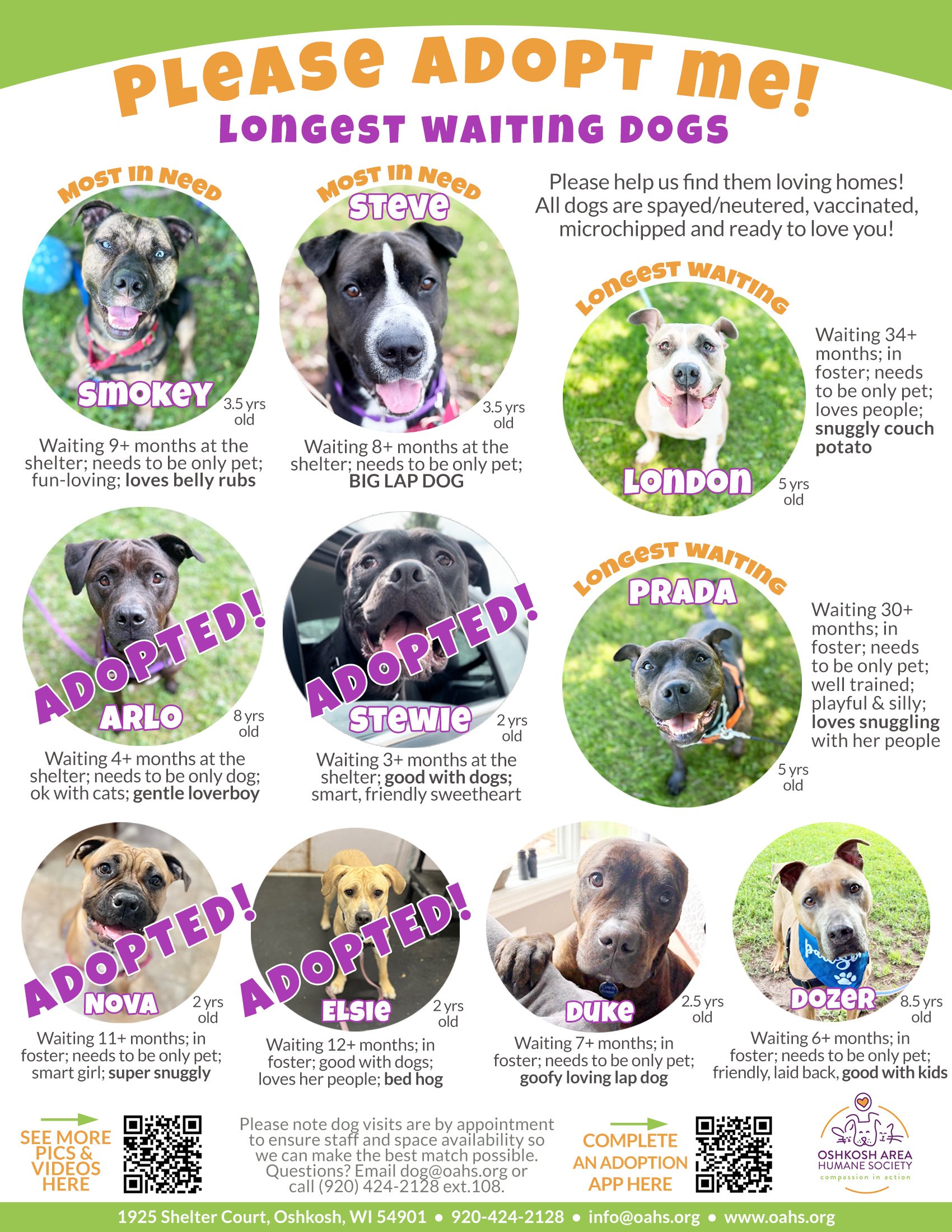 Long Term Adoptables - Oshkosh Area Humane Society